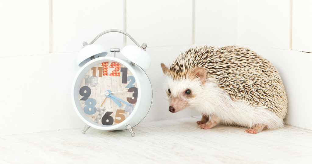 フォーム入力時にひらがな・カタカナ・全角・半角をjQueryで自動変換する | MUGEN WEB note