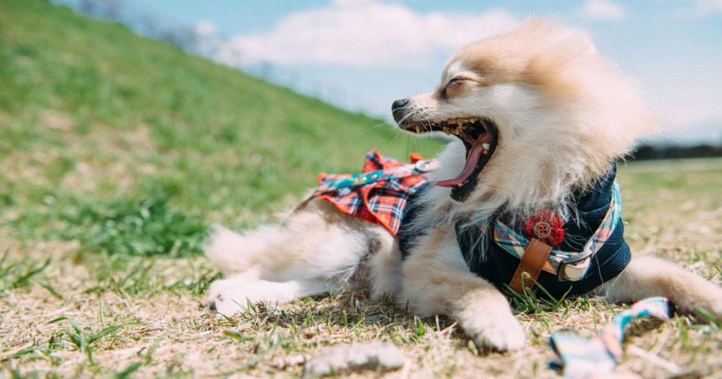 スマホ対応！ページ離脱はjQueryのアラートで防ぐ！ | MUGEN WEB note