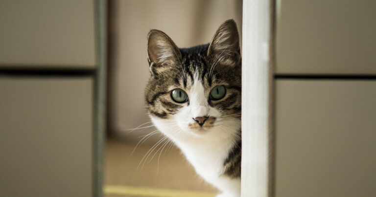 jQuery UIのsortableを使ってリストをドラッグで並び替える | MUGEN WEB note